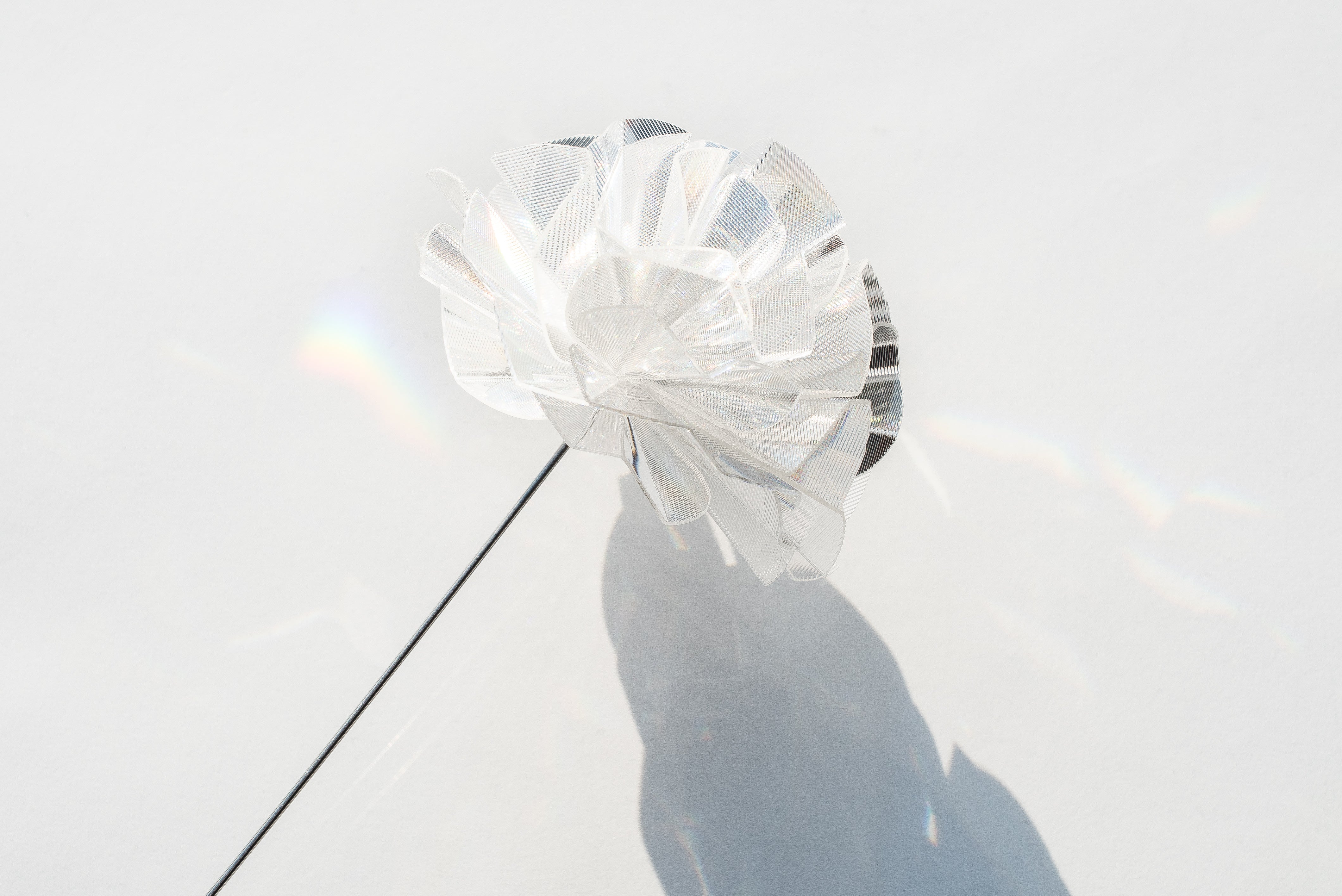 Prism Flower #1 / Carnation – EMISSION