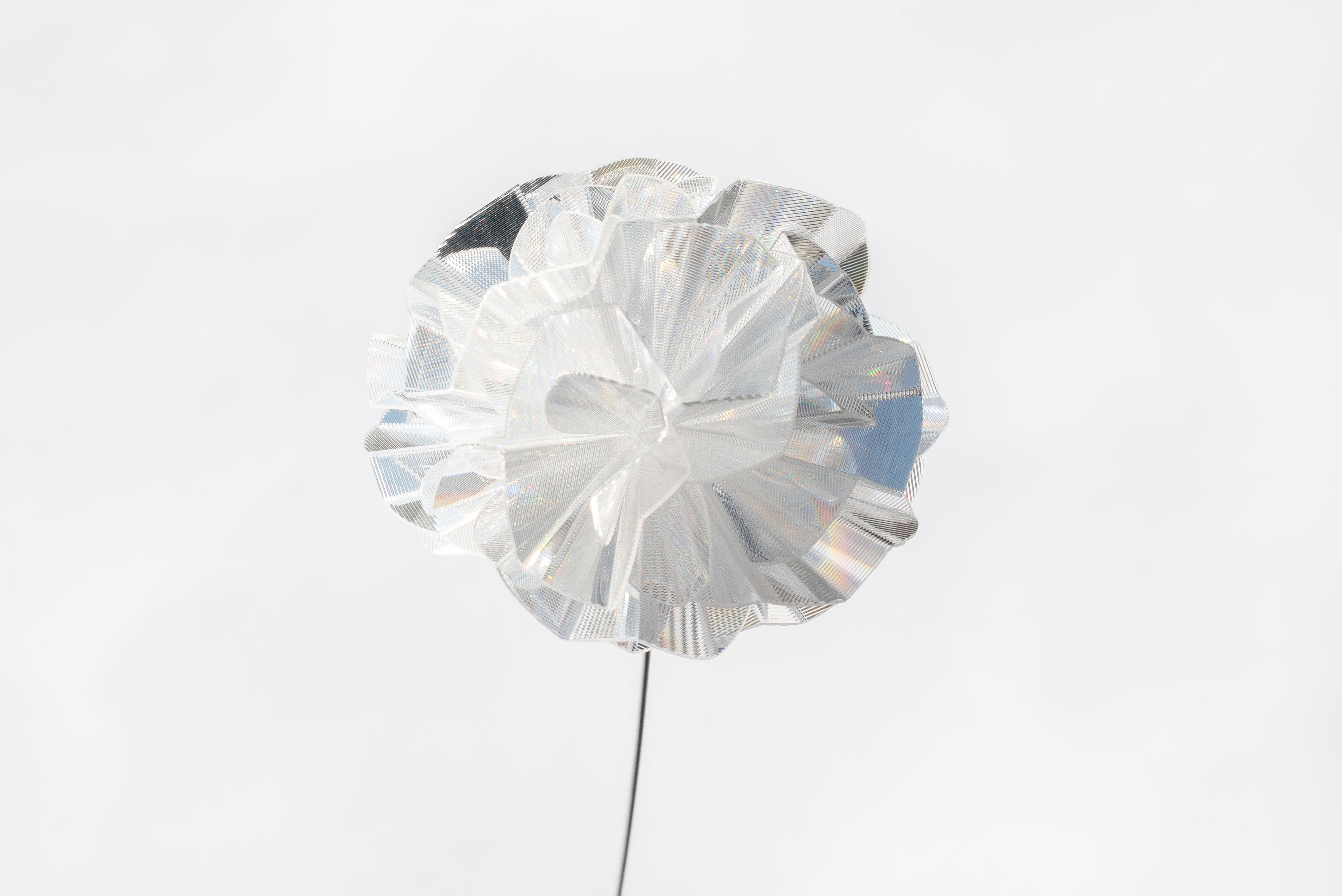 Prism Flower #1 / Carnation – EMISSION