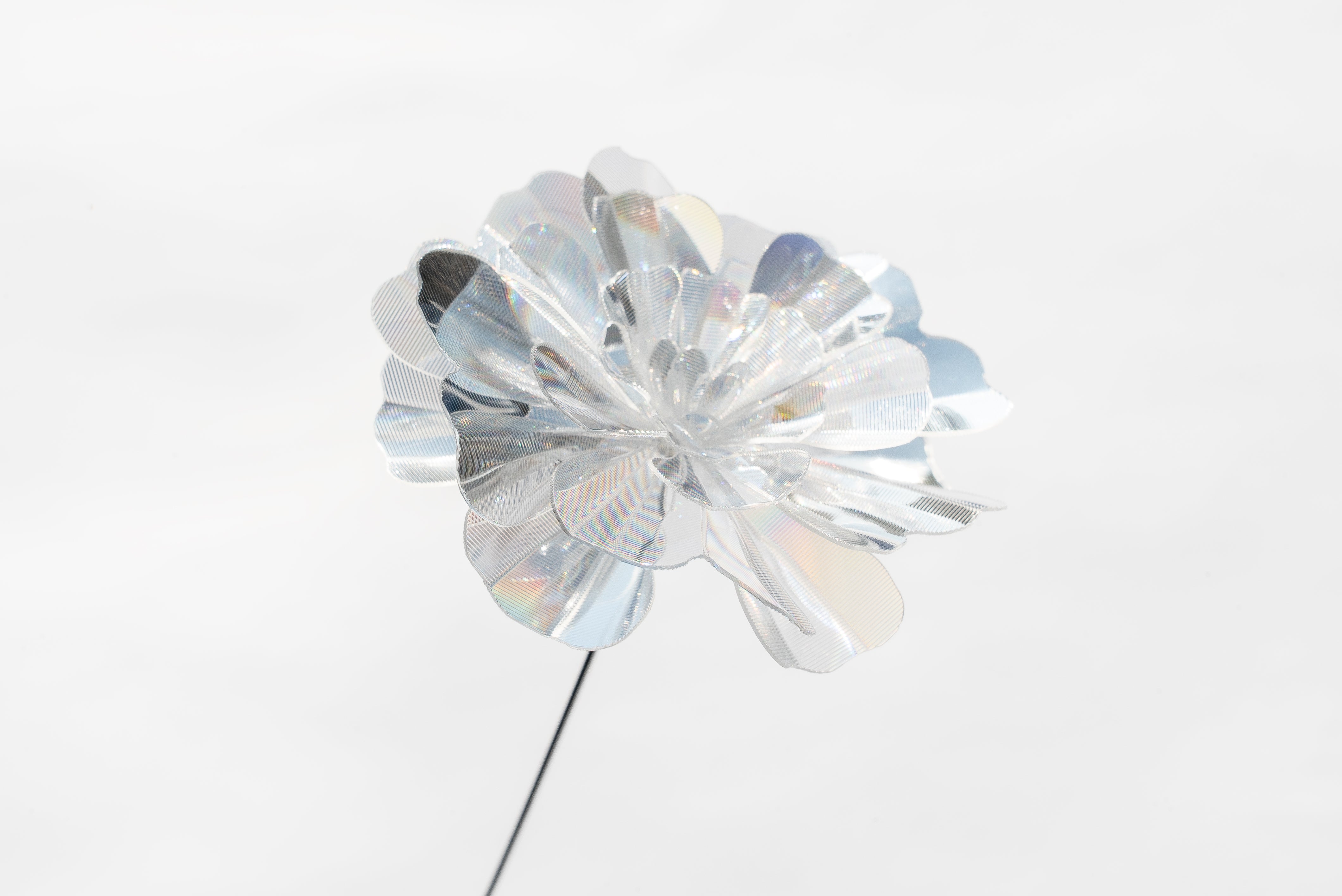 Prism Flower #1 / Marigold – EMISSION