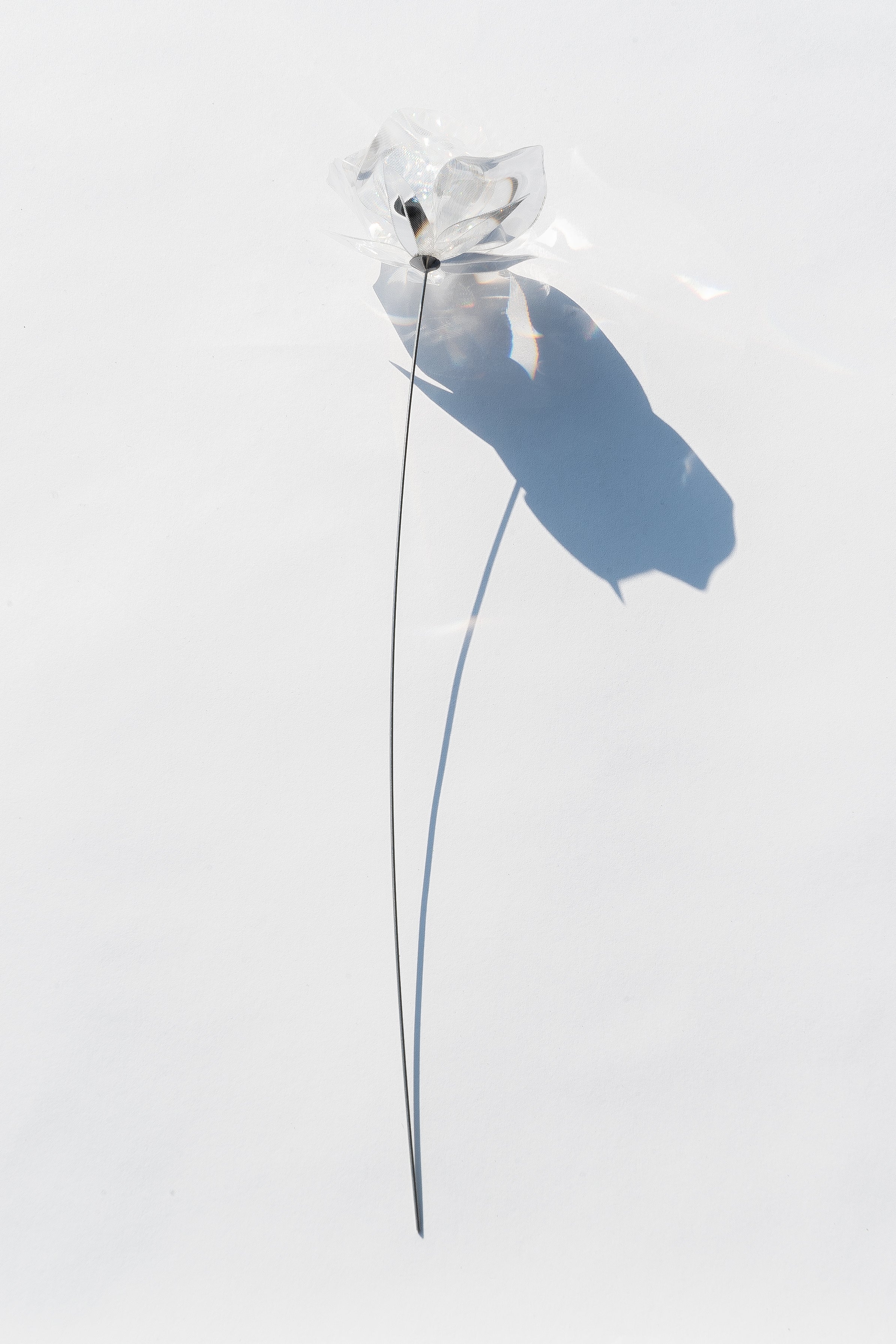 Prism Flower #1 / Rose – EMISSION