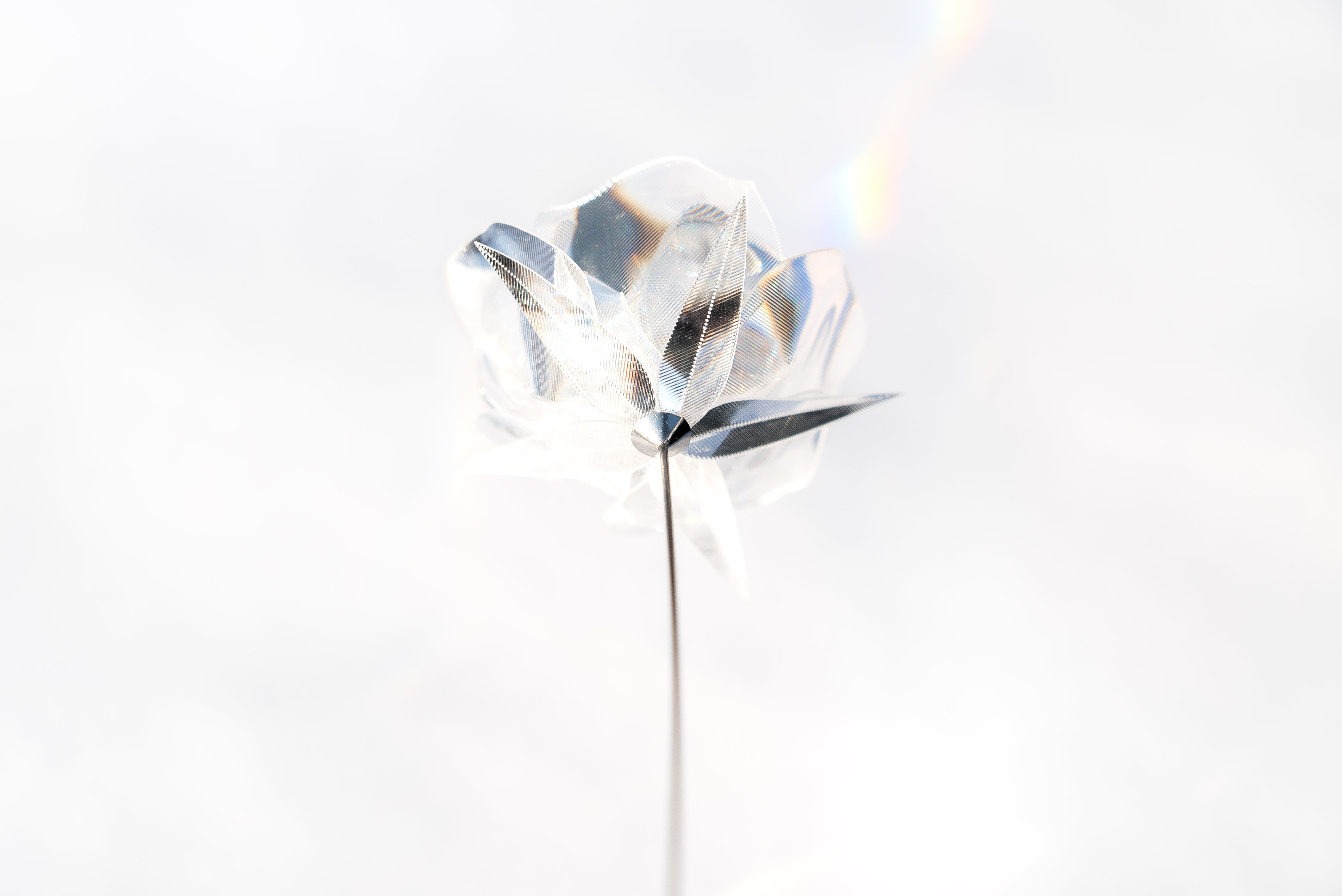 Prism Flower #1 / Rose – EMISSION