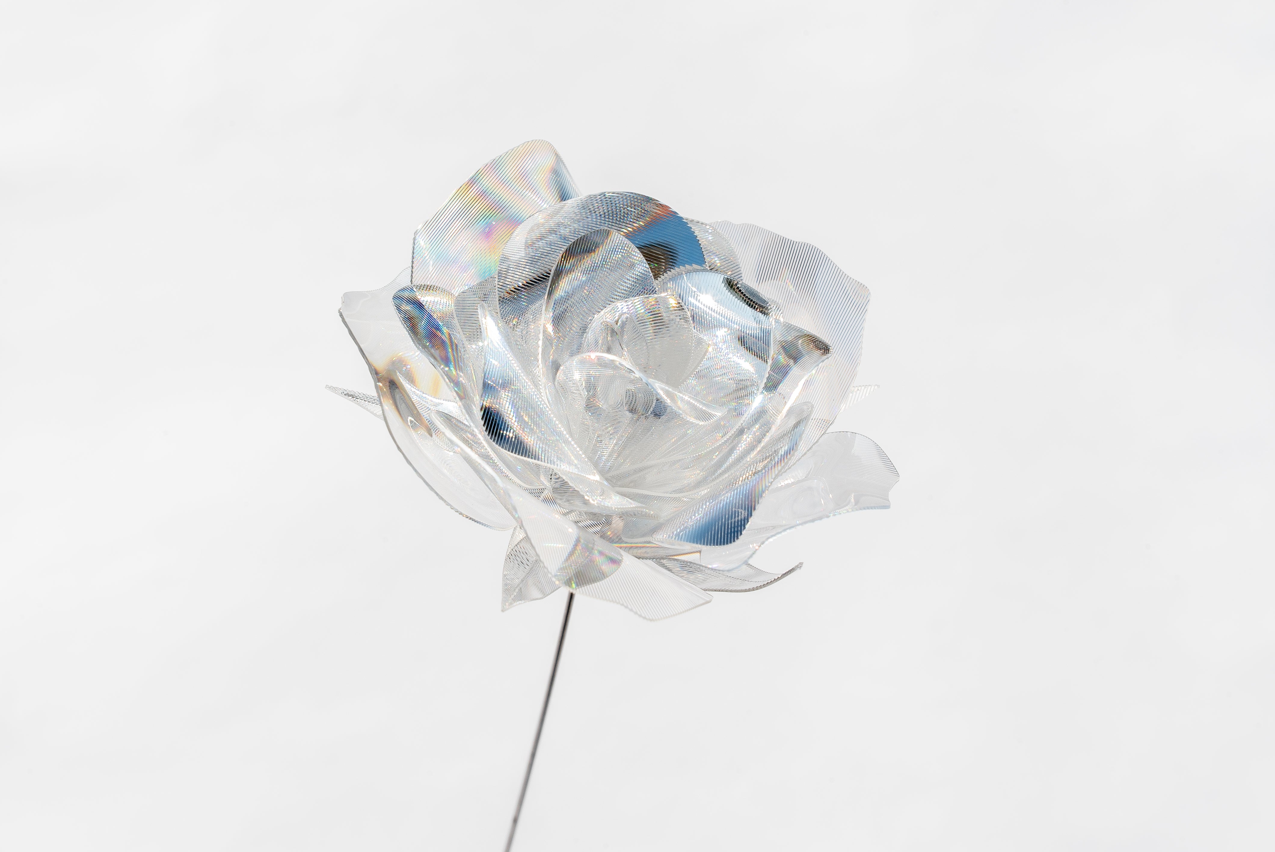 Prism Flower #1 / Rose – EMISSION