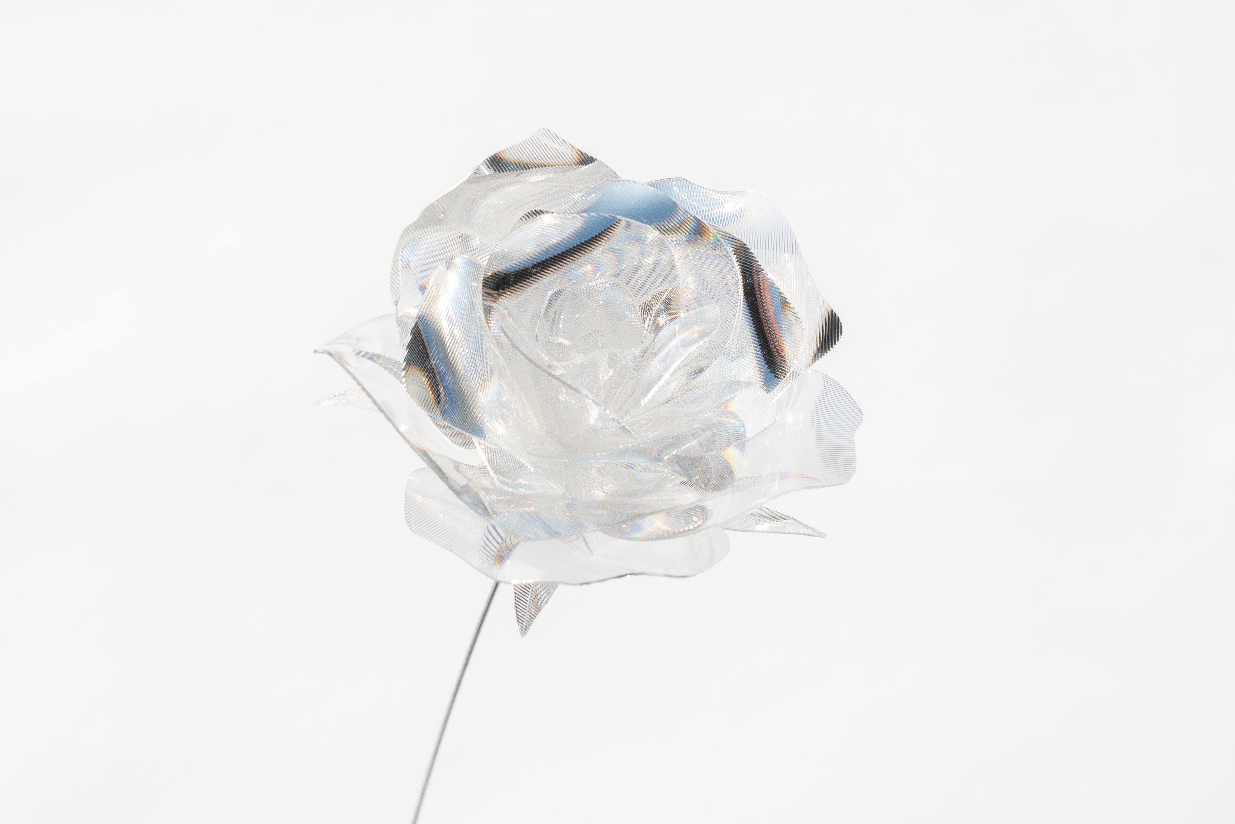 Prism Flower #1 / Rose – EMISSION